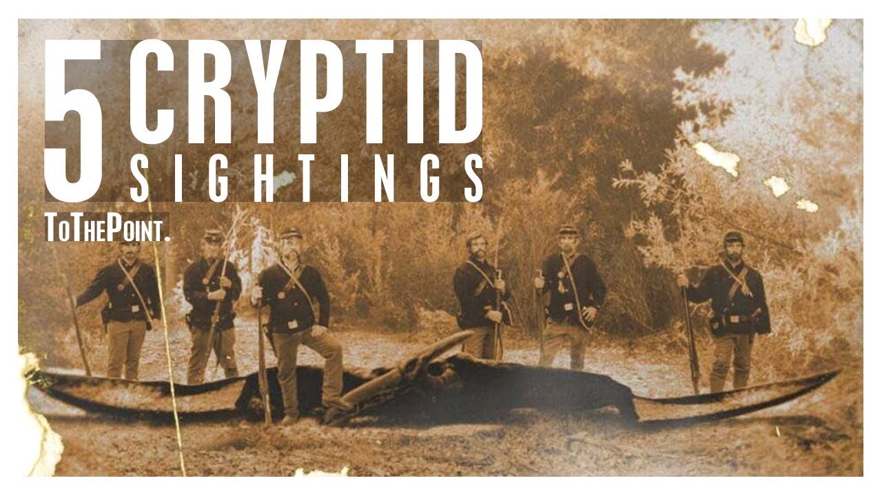 5 Authentic Cryptid Sightings: ft. Prehistoric Thunderbirds & Titan ...