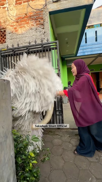 Cewe Cantik Ngeluarin CAN MACANAN Dari Kandang - YouTube