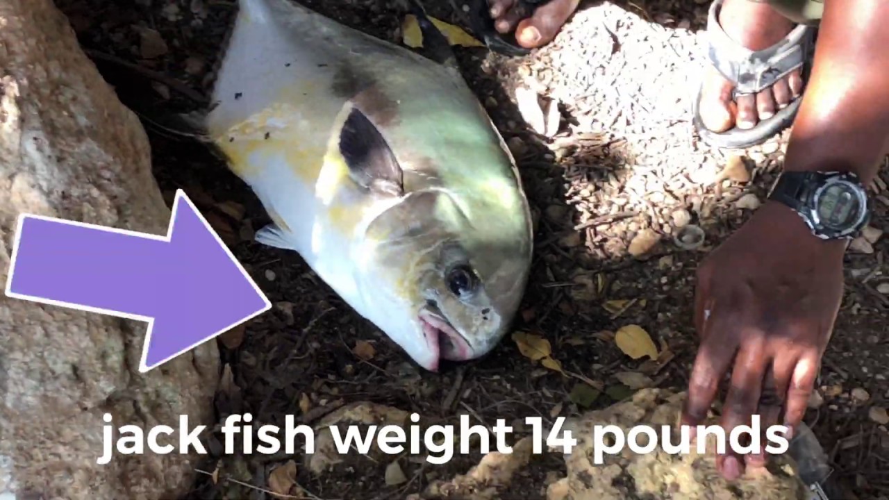 fishing with friends at causeway bridge portmore 4K - YouTube