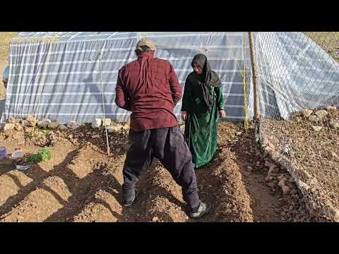 A sprinkler and a few seeds;  Is this the beginning of a new life in the mountains?