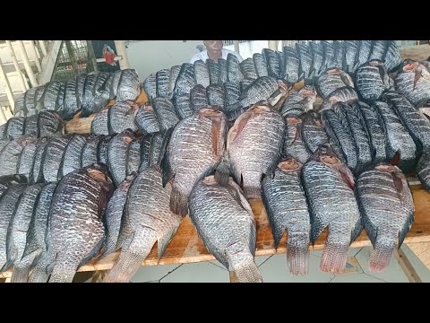 Omena (silver fish)in Dunga beach Kisumu, Kenya. - YouTube