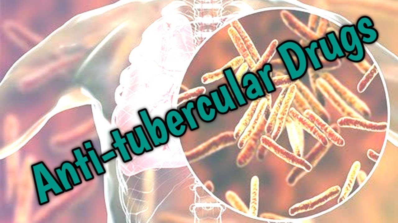 Anti-tubercular Drugs (TB) - YouTube