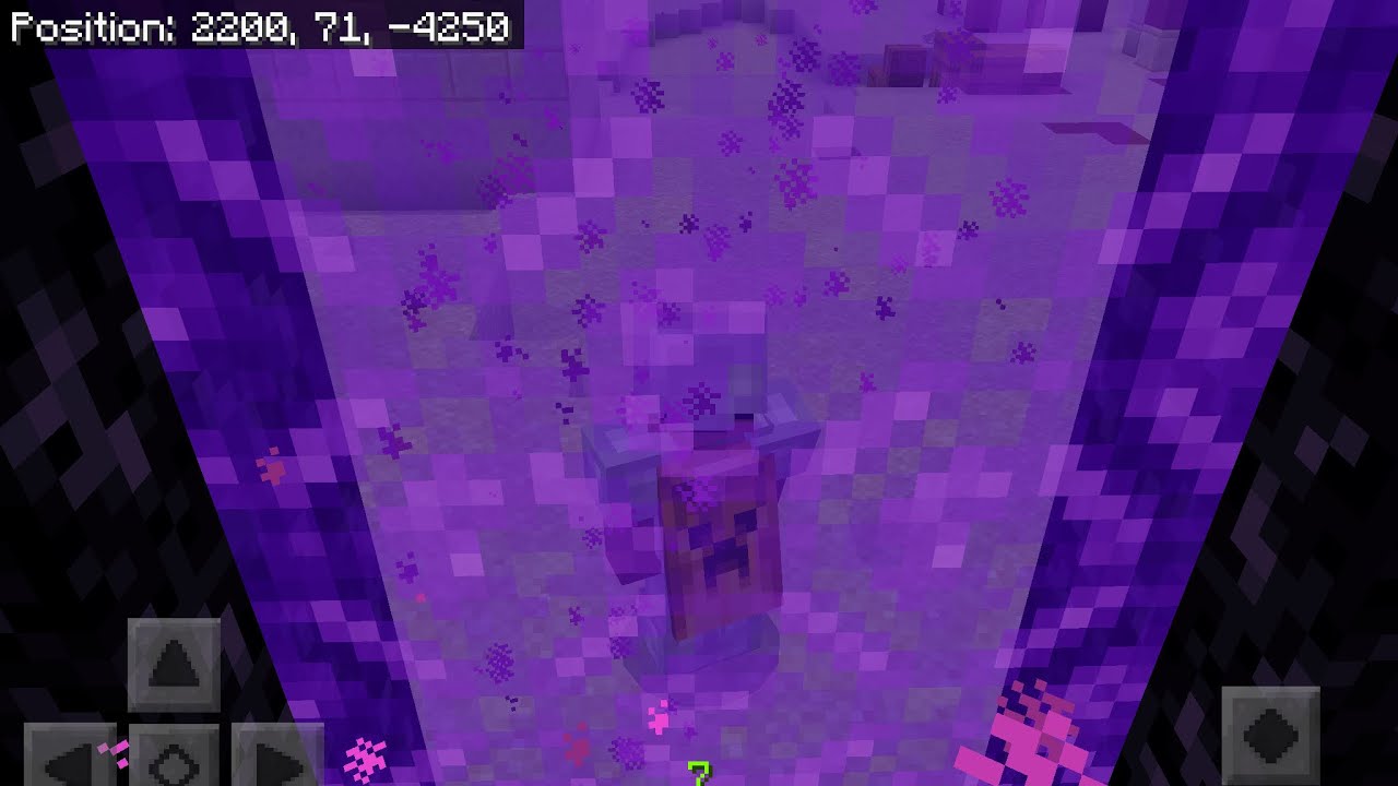 In and out of the Nether|Minecraft #5 + lighting glitch w/Nixerer - YouTube