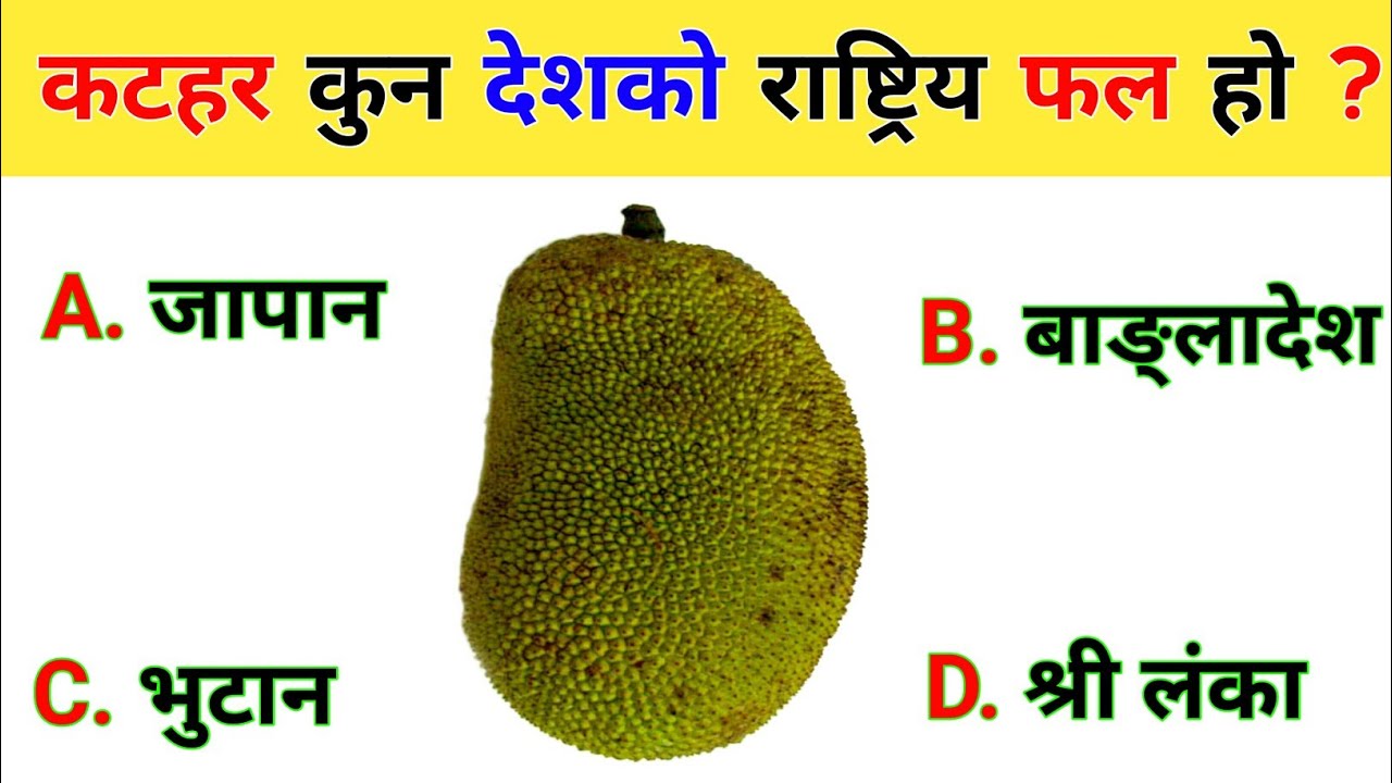 Gk Questions And Answers In Nepali Loksewa Tayari In Nepal Quiz gk-questions-and-answers-in-nepali-loksewa-tayari-in-nepal-quiz