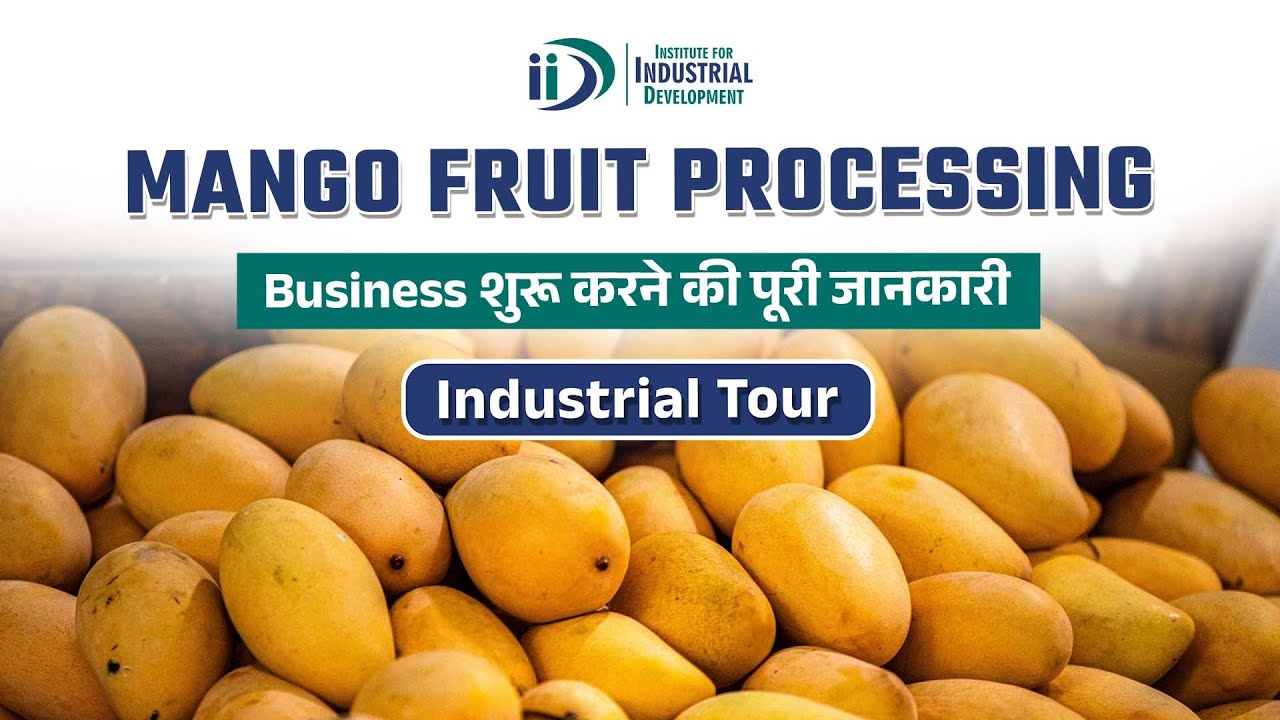 How to Start Mango Fruit Processing Business | How to Start Mango ...