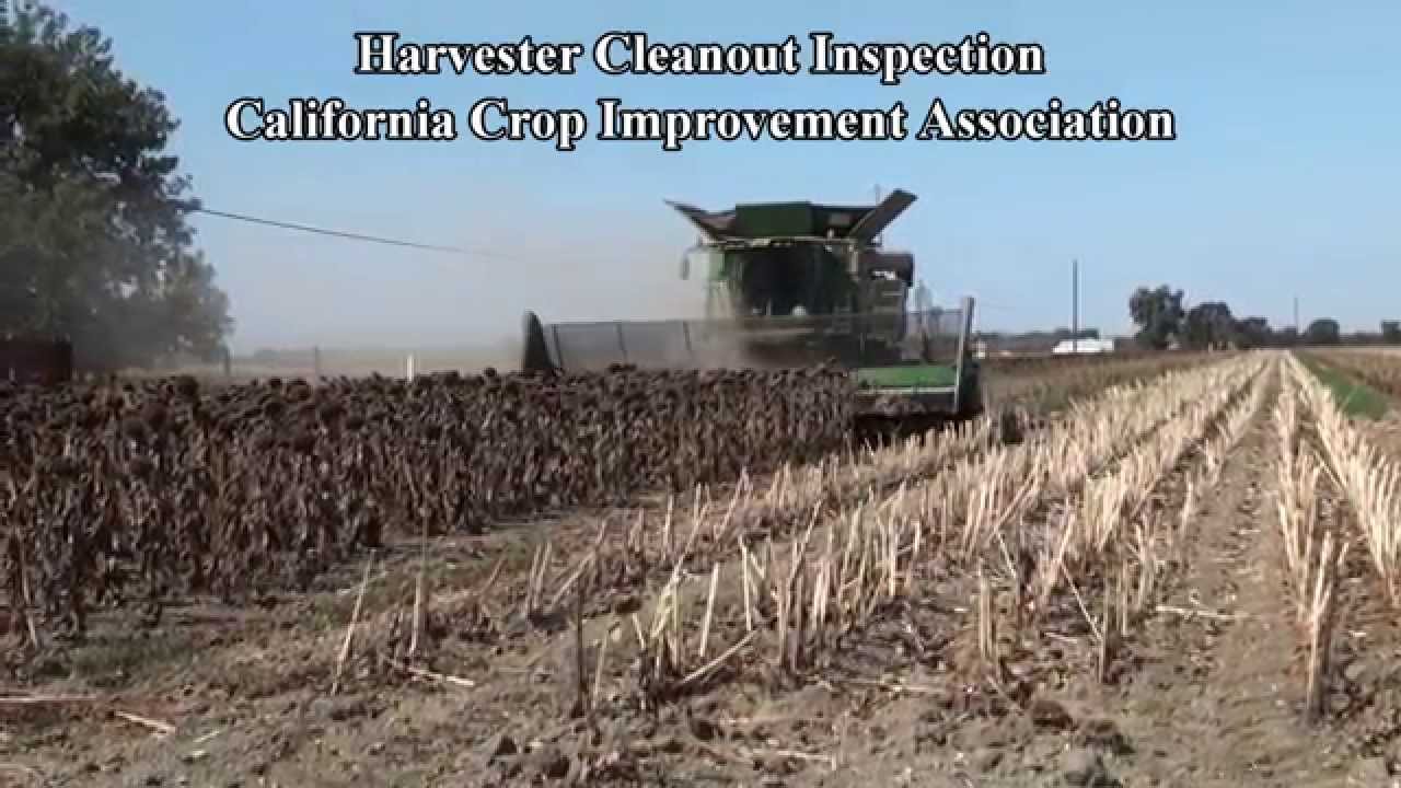 Combine Harvester Cleanout Inspection - YouTube