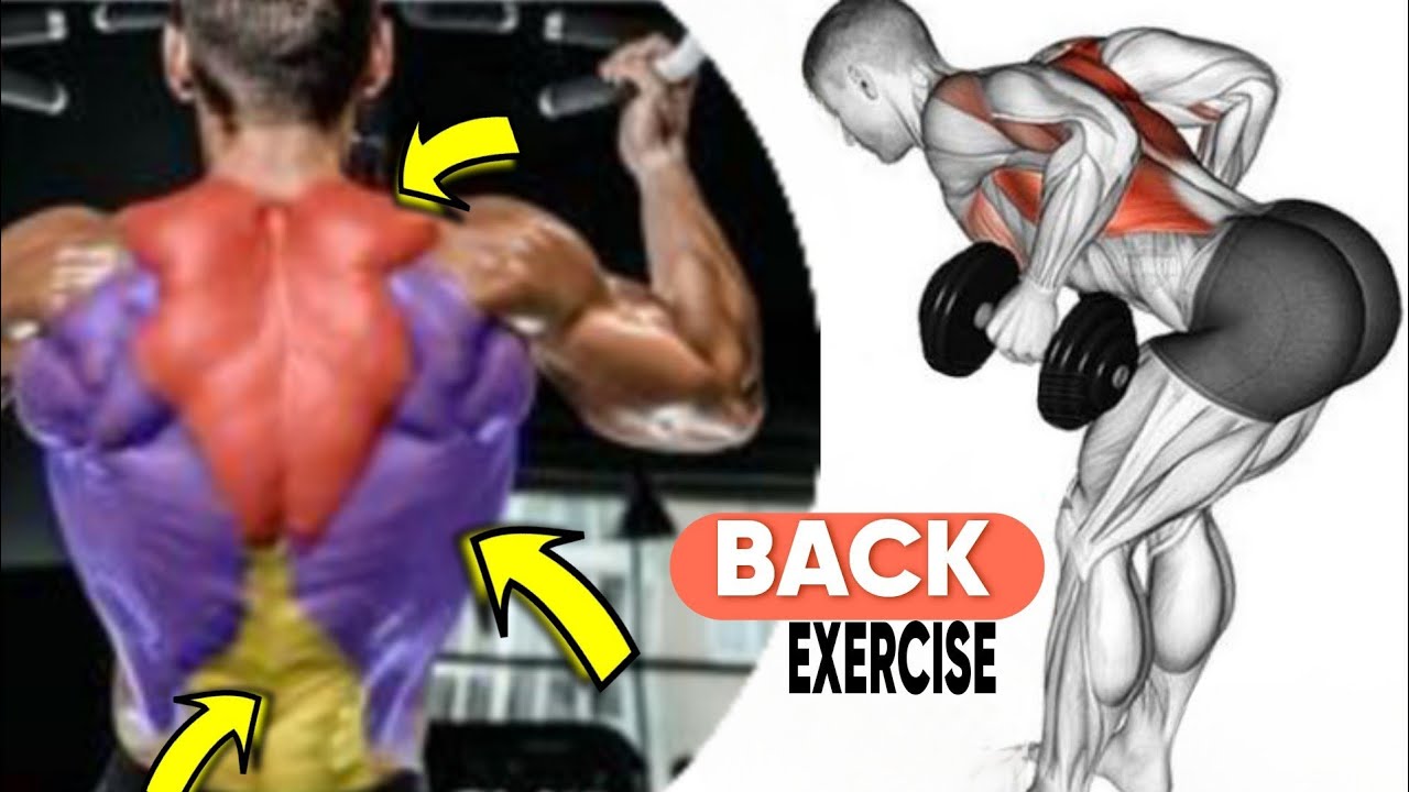 Effective Back Exercises for a Stronger, Defined Back - YouTube