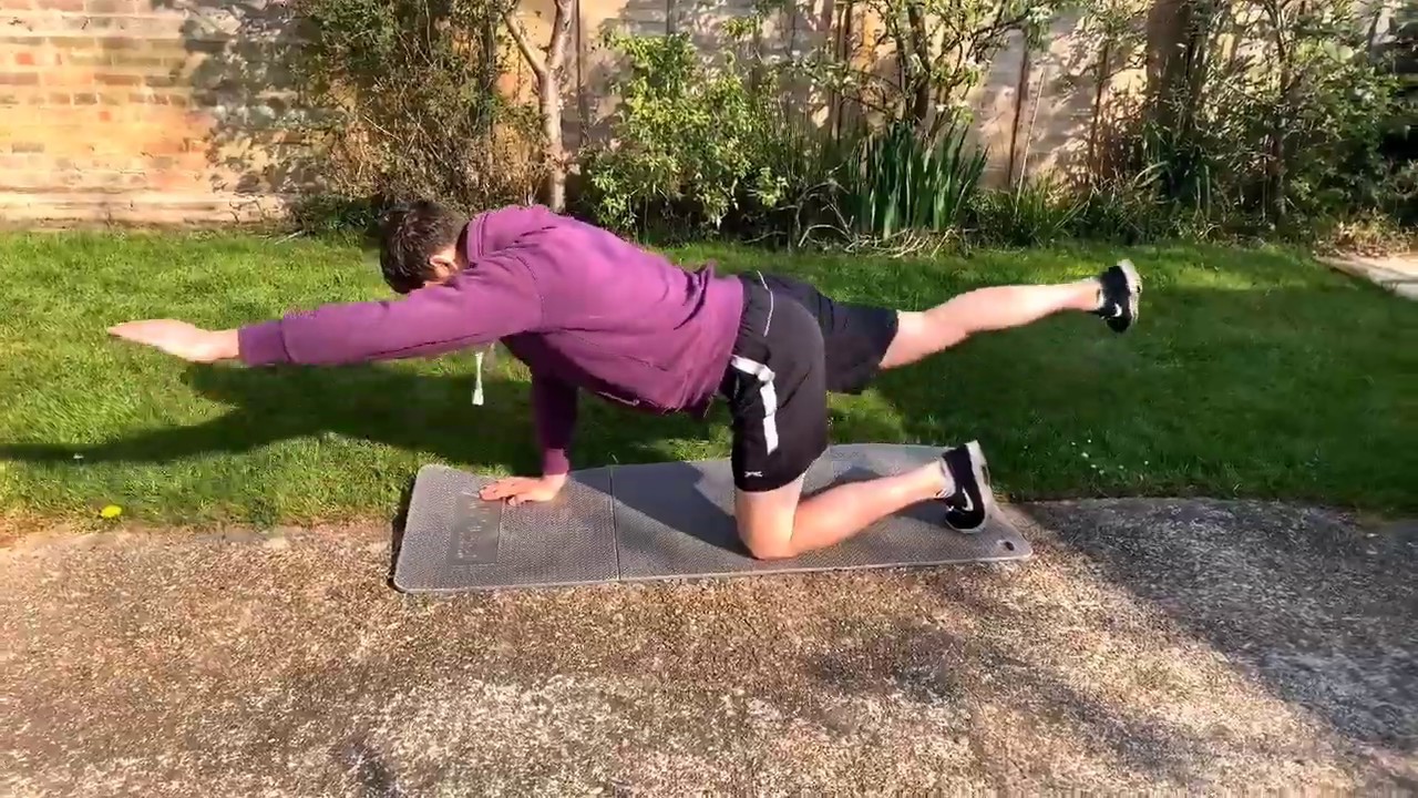 Bird Dog (core exercise) - YouTube