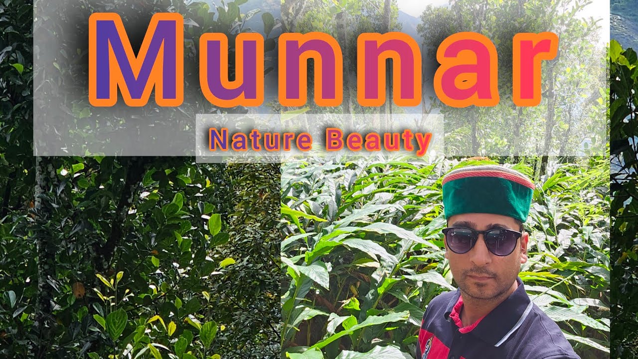 Day 3: Munnar Nature Beauty in kerala | Hill station | Tourist Guide ...