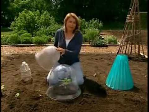 Copy of Rebecca's Garden ~ Spring Gardening 3