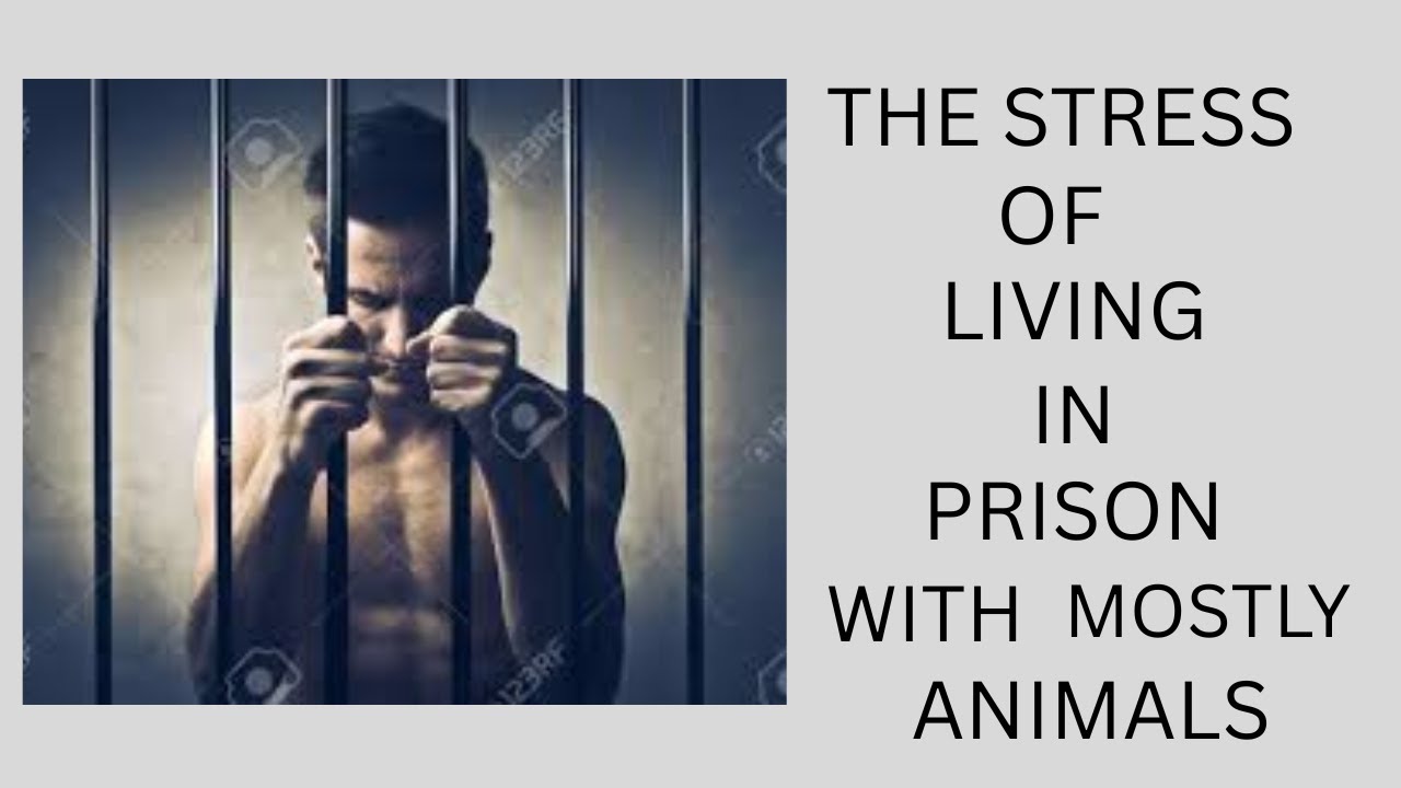 THE STRESS OF LIVING IN PRISON - YouTube