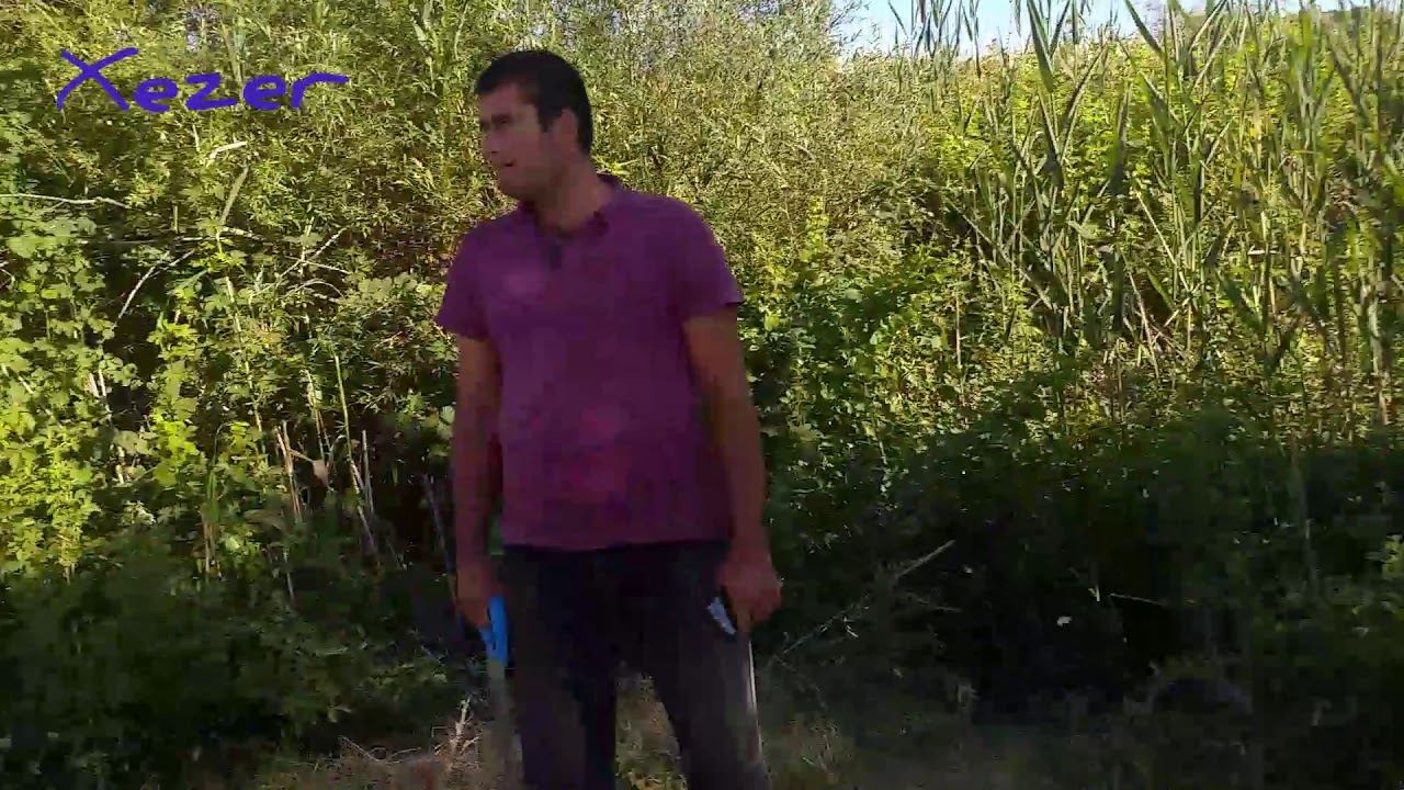 Kend Heyati Quşlarin Sesi - YouTube