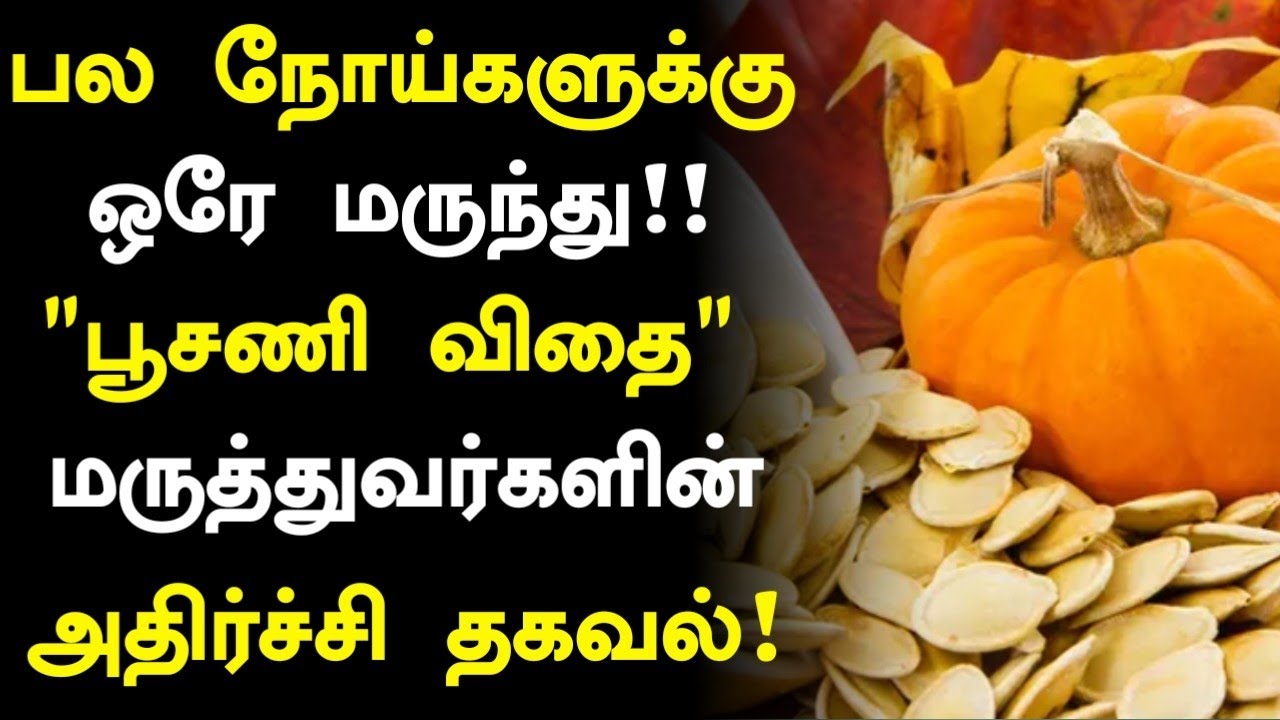 பூசணி விதை போதும்! நோய்களை அழிக்க!! | Health Benefits of Poosani in ...