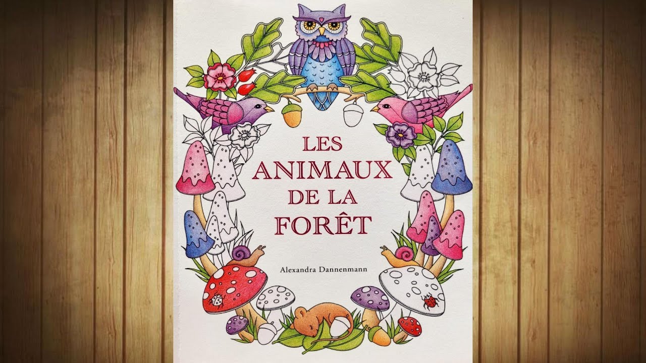 Présentation ( Flip through ) : LES ANIMAUX DE LA FORÊT d'Alexandra ...