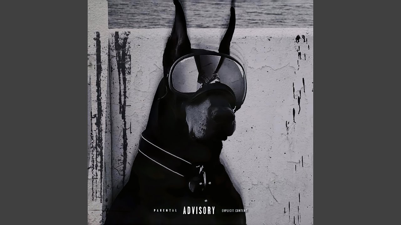 ZUMA-MAN/CHECK - YouTube