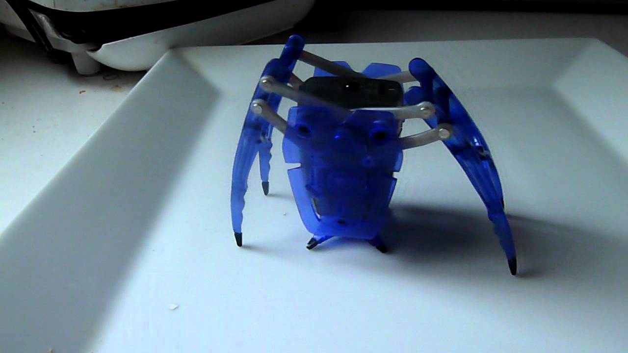 Hexbug Inchworm Video Review - YouTube