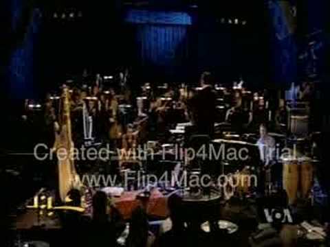 Javid Afsari Rad, Composer & Santur virtuso - YouTube