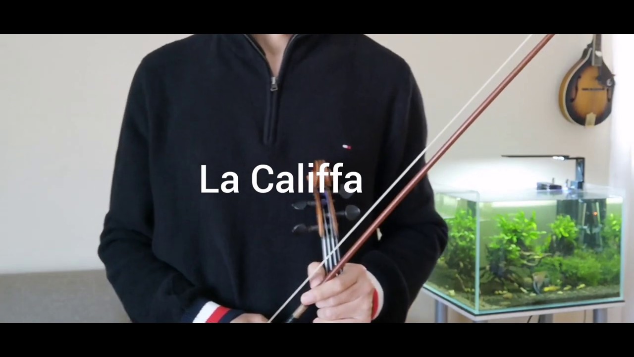'La califfa' movie theme song,《La Califfa》同名电影的主题曲 - YouTube