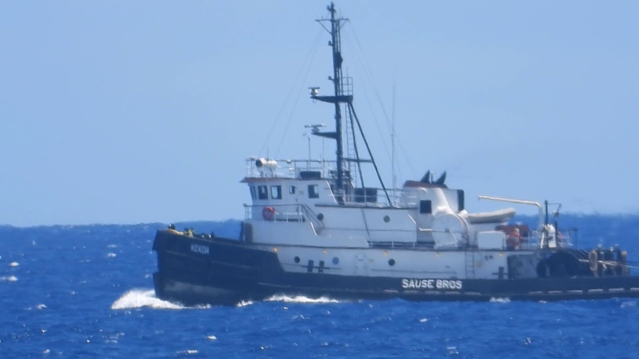 C 19 Live Sports Barge Towing Races, Sauce Brothers V Young Brothers ...