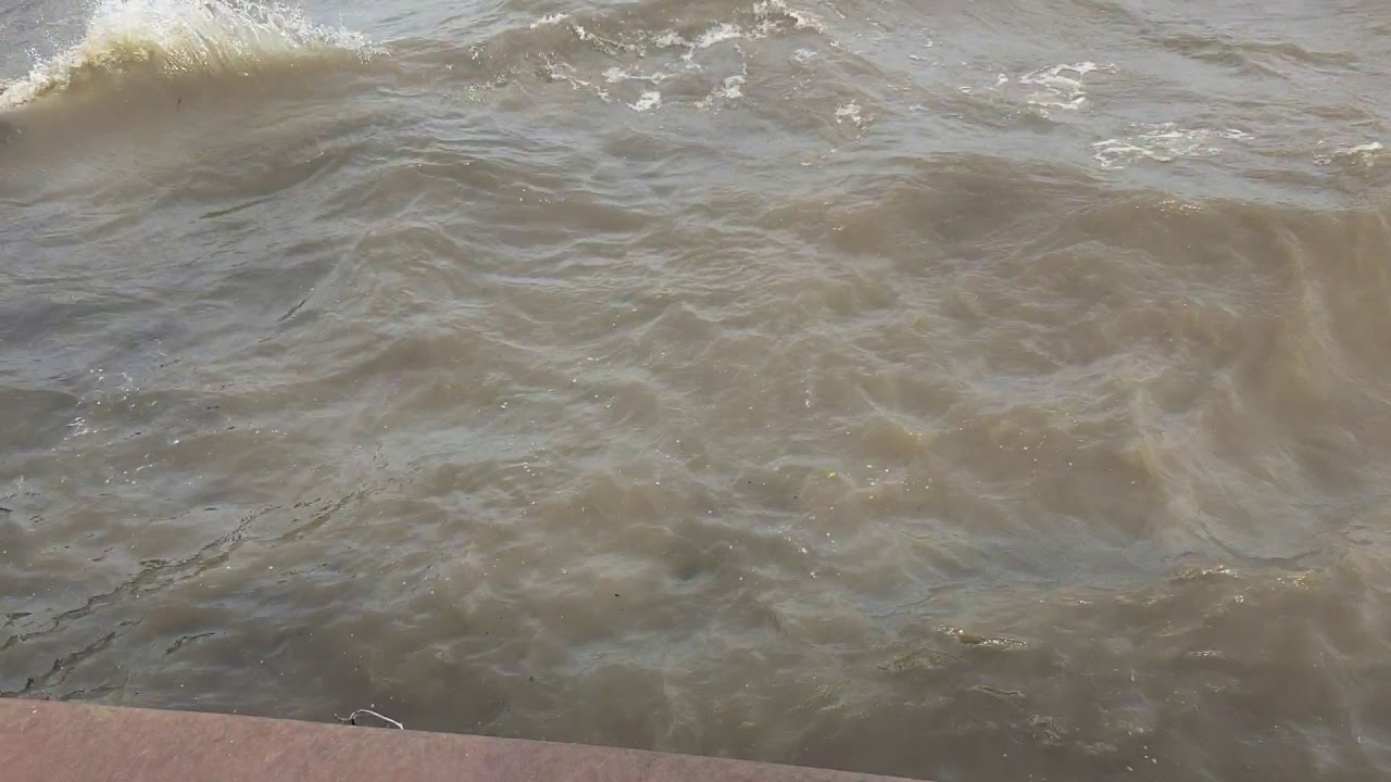 Lady River - YouTube