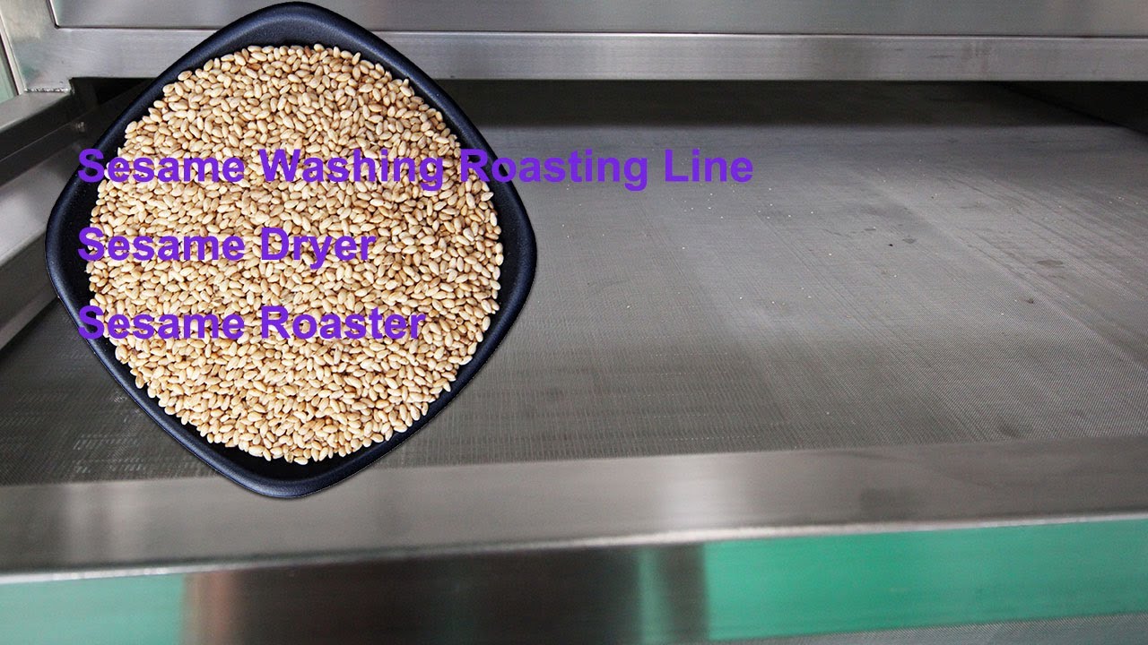 1ton raw sesame seeds washing drying roasting process line - YouTube