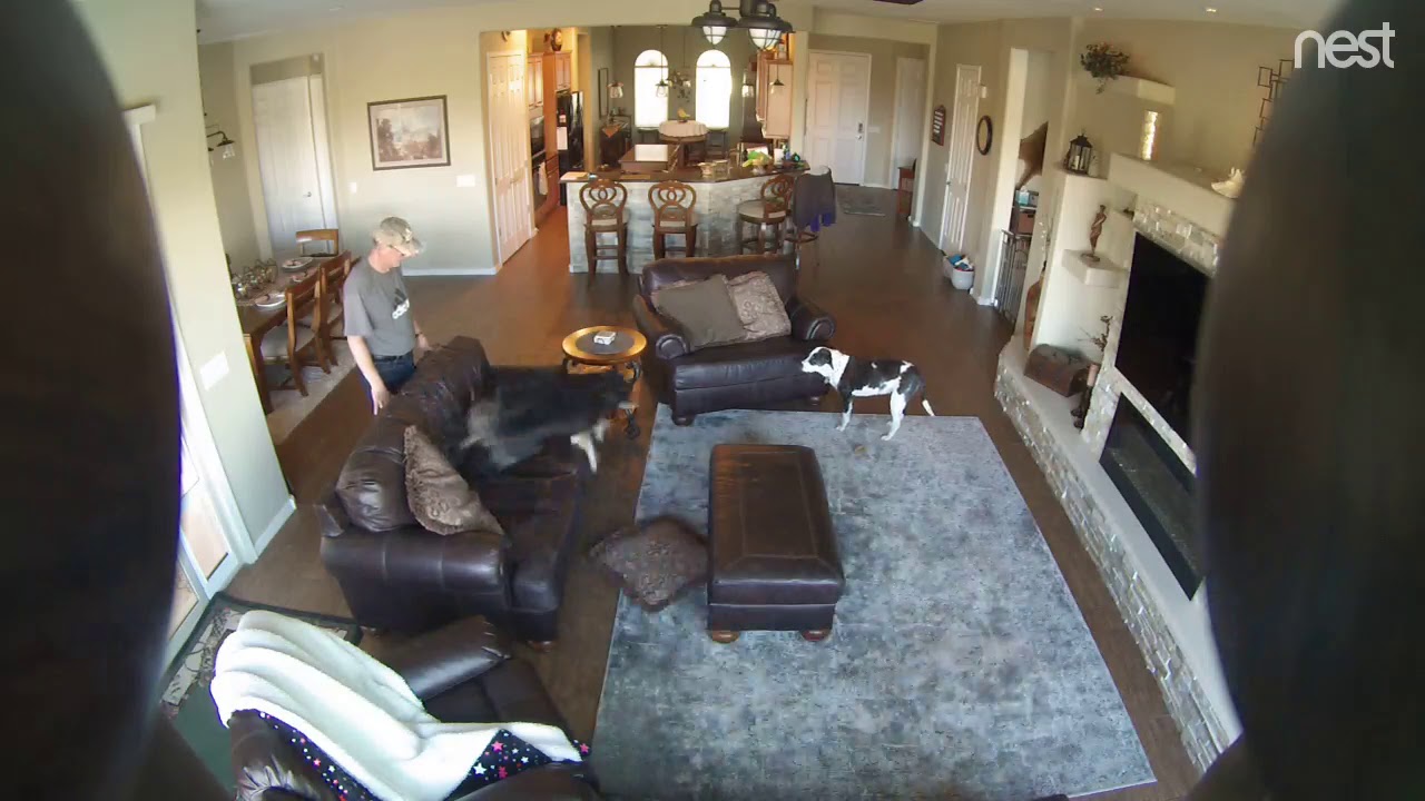 Manic Tank - YouTube