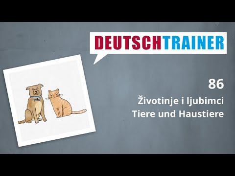 Njemački za početnike (A1/A2) | Deutschtrainer: Životinje i ljubimci