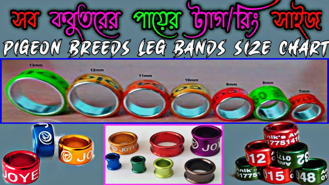 সব কবুতরের পায়ের ট্যাগ - রিং এর সাইজ চার্ট | All Pigeon leg bands ...
