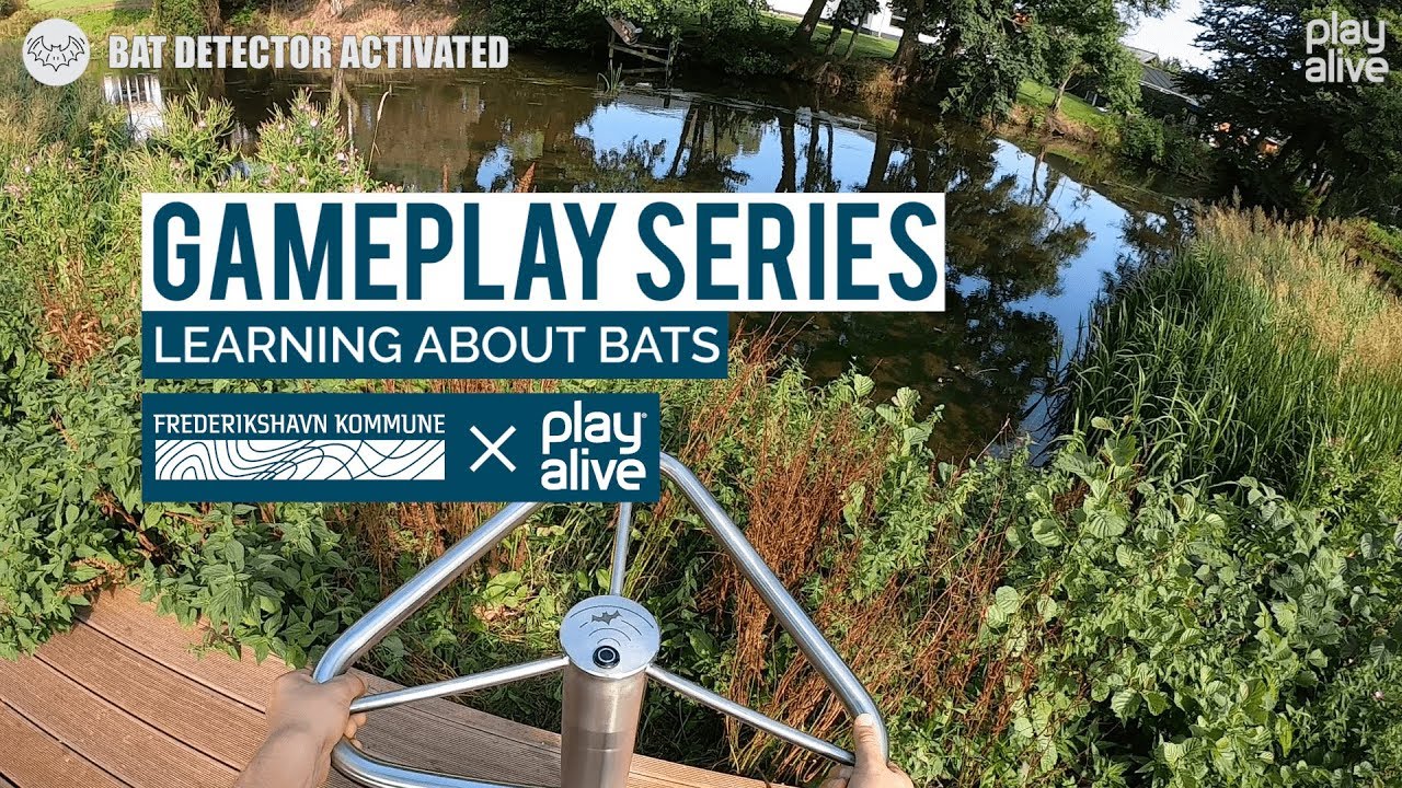 GAMEPLAY Series: Learning about bats - YouTube