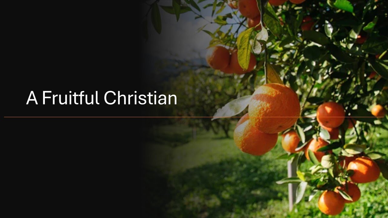 A Fruitful Christian—October 20, 2024 - YouTube