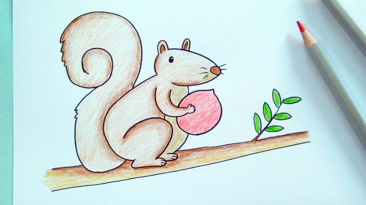 How To Draw Squirrel The Easy Way YouTube How To Draw Squirrel The Easy Way YouTube