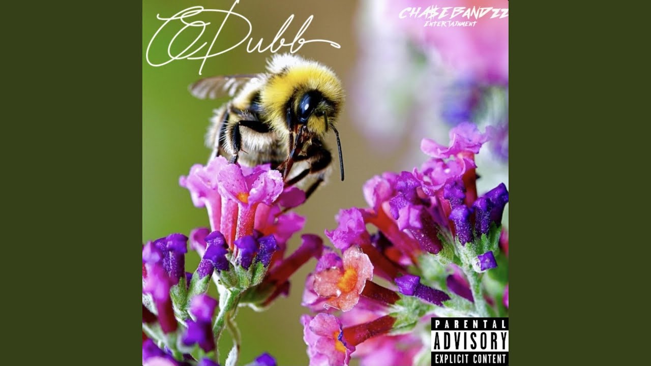 Bumblebees - YouTube