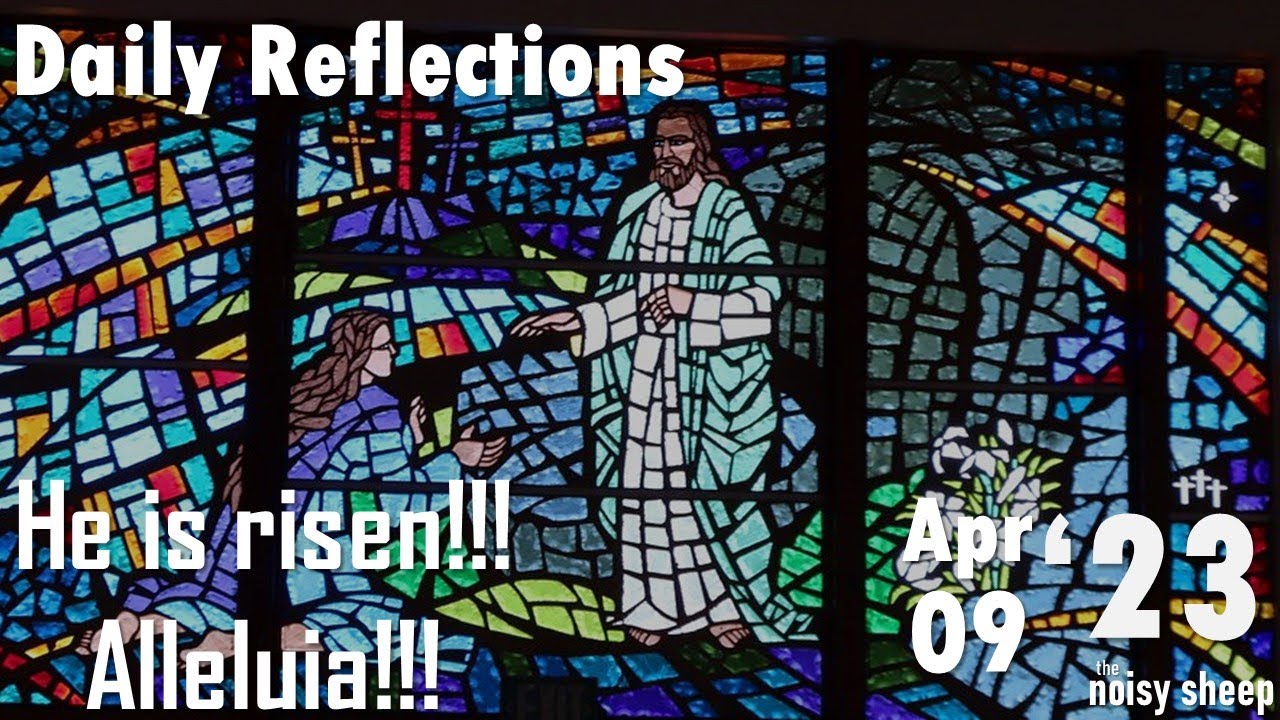 He is risen!!! | Easter | Daily Reflections | 2023 04 09 - YouTube