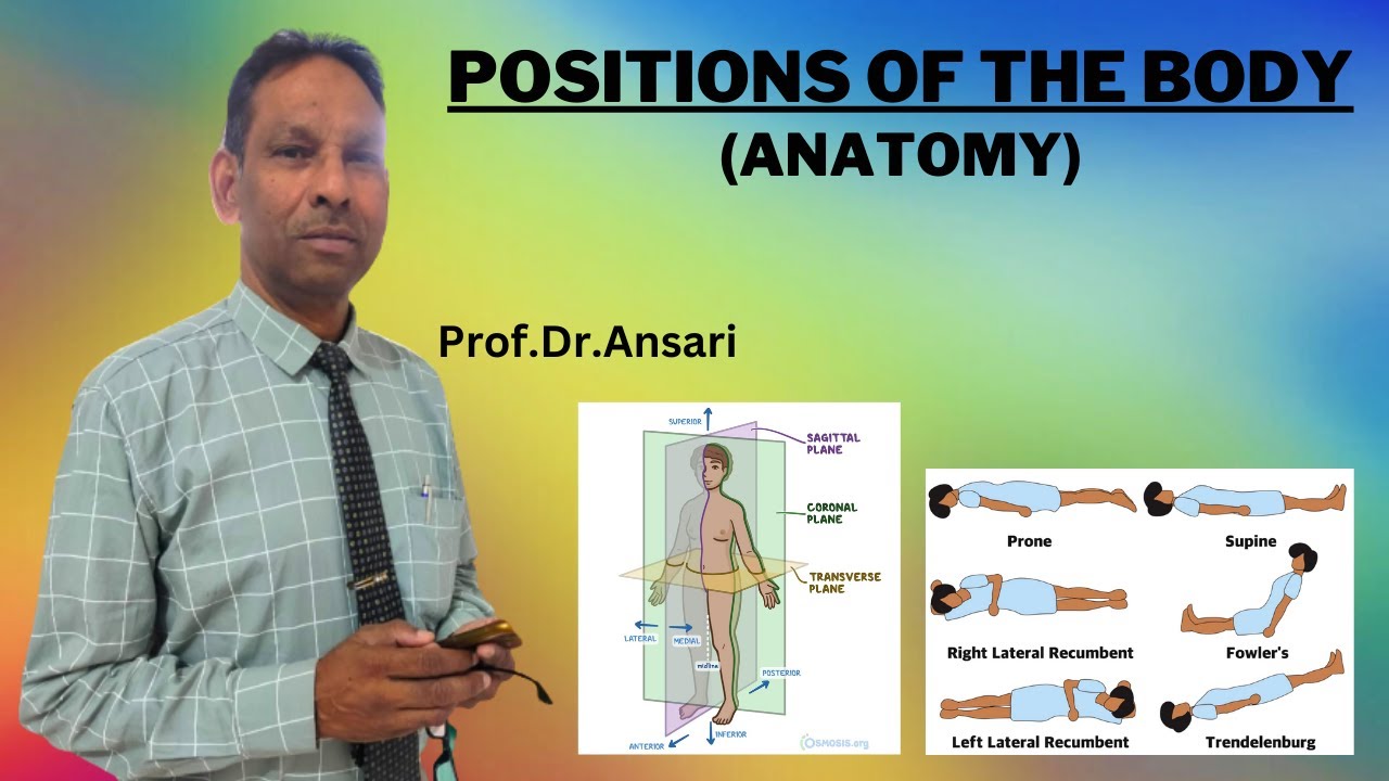Positions of the body | Prone | Supine | Anatomy | By Prof.Dr.Ansari ...