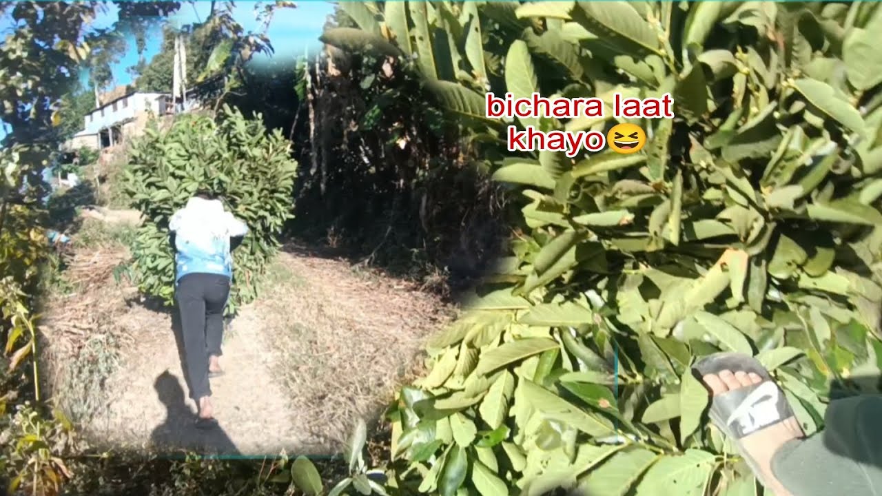 Vai ley laat khayo mero vari bokda😆😆😆 bichara😅 - YouTube