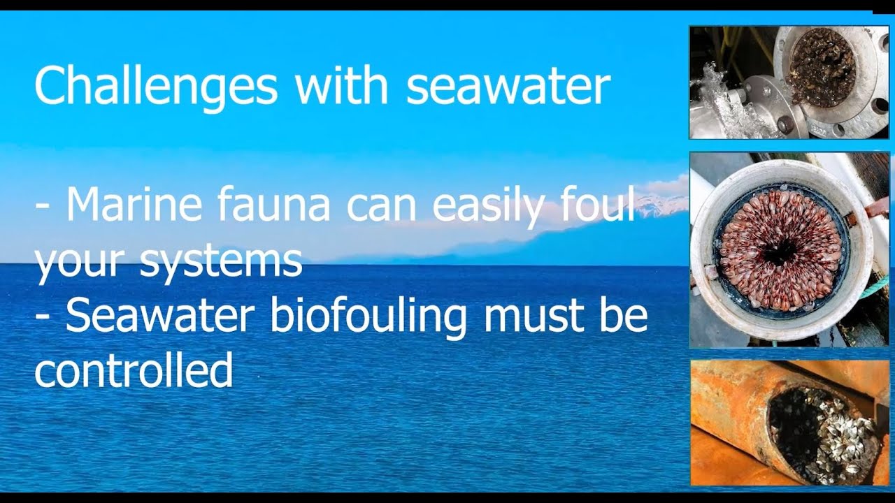 Challenges with Seawater (Marine Biofouling) - YouTube
