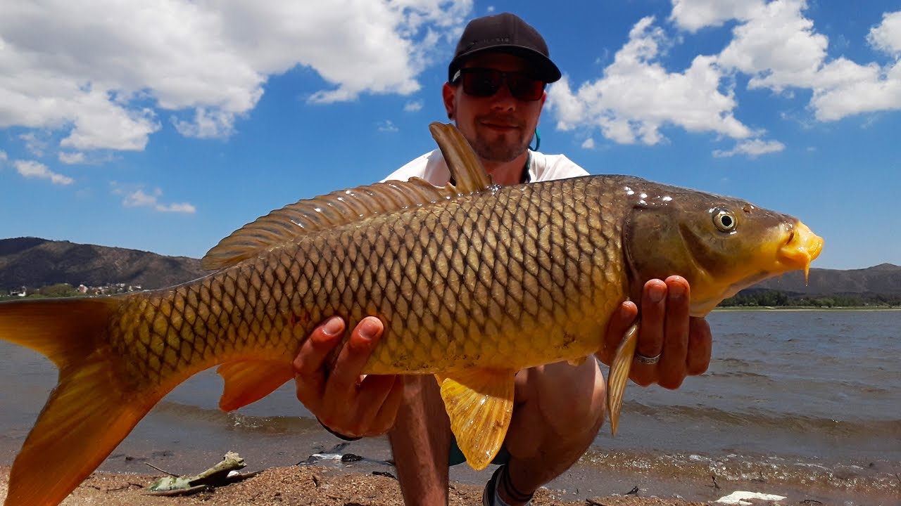 ES EL PARAÍSO, SALIO UN PEZ RARO, MUCHO PIQUE, PESCA Y ASADO ...