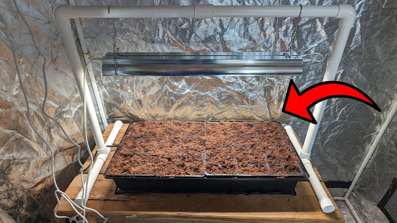 Get You Seeds Growing With THIS Seed Starter Kit! - YouTube