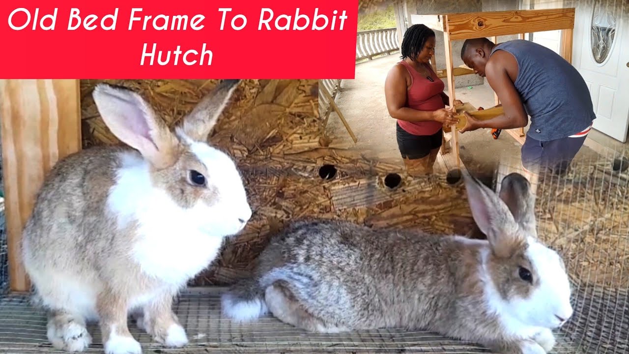DIY Rabbit Hutch From Old Bed Frame/Build from Start to finish - YouTube
