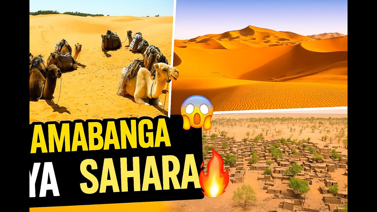 UBUTAYU BWA SAHARA – AMAYOBERA N’AMABANGA YIHISHEMO! BWAHAVUZE NO MURI ...