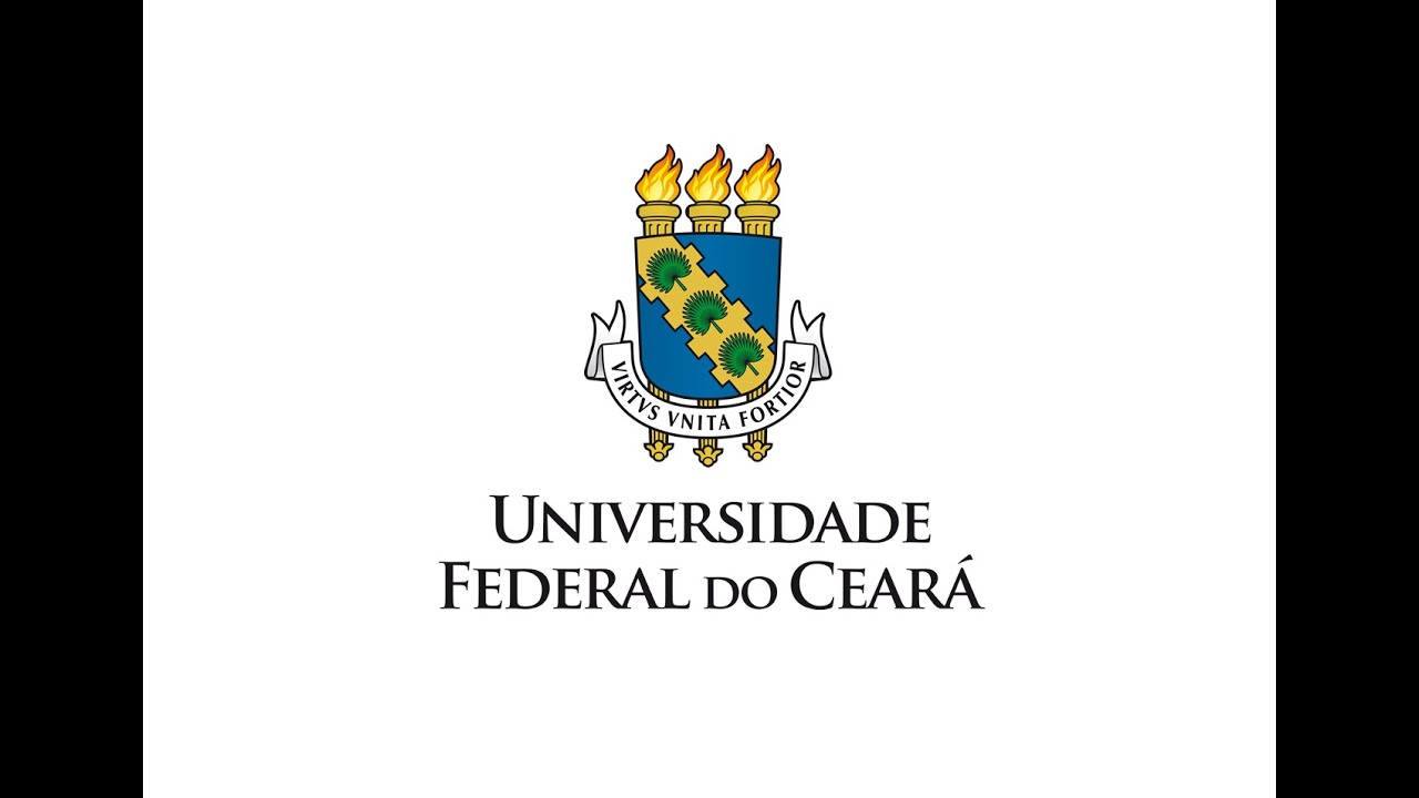 (UFC-CE)A figura a seguir mostra dois blocos de massas m = 2,5 kg e M ...