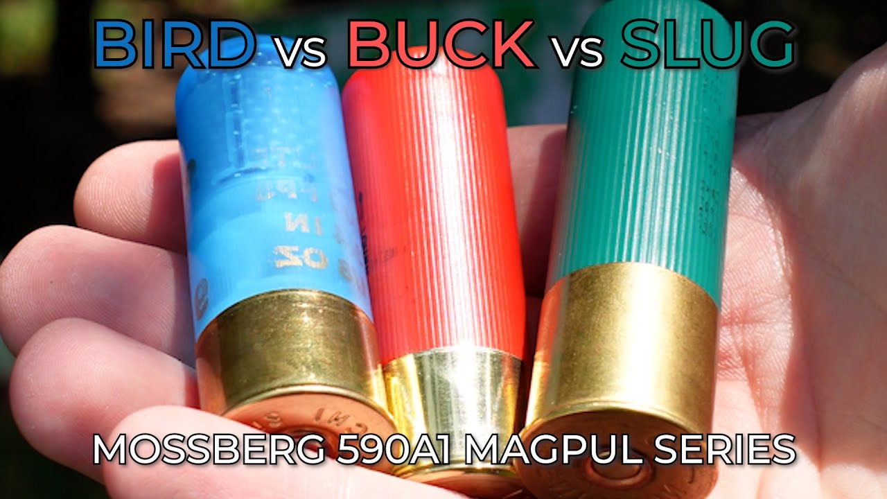 A Bird, A Buck, And A Slug Walk Into A Bar [Mossberg 590A1 Shell ...