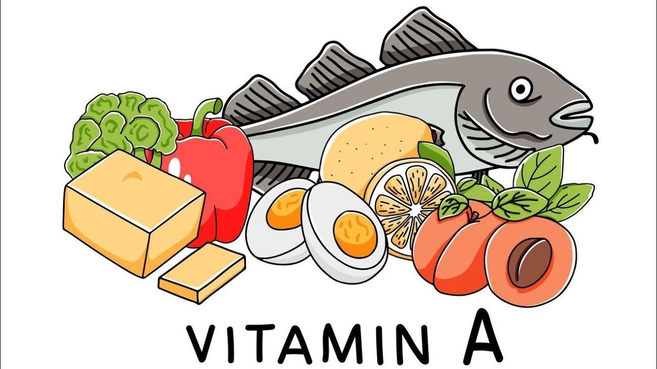 Vitamin A , introduction, Sources, importantace and deficiency. - YouTube