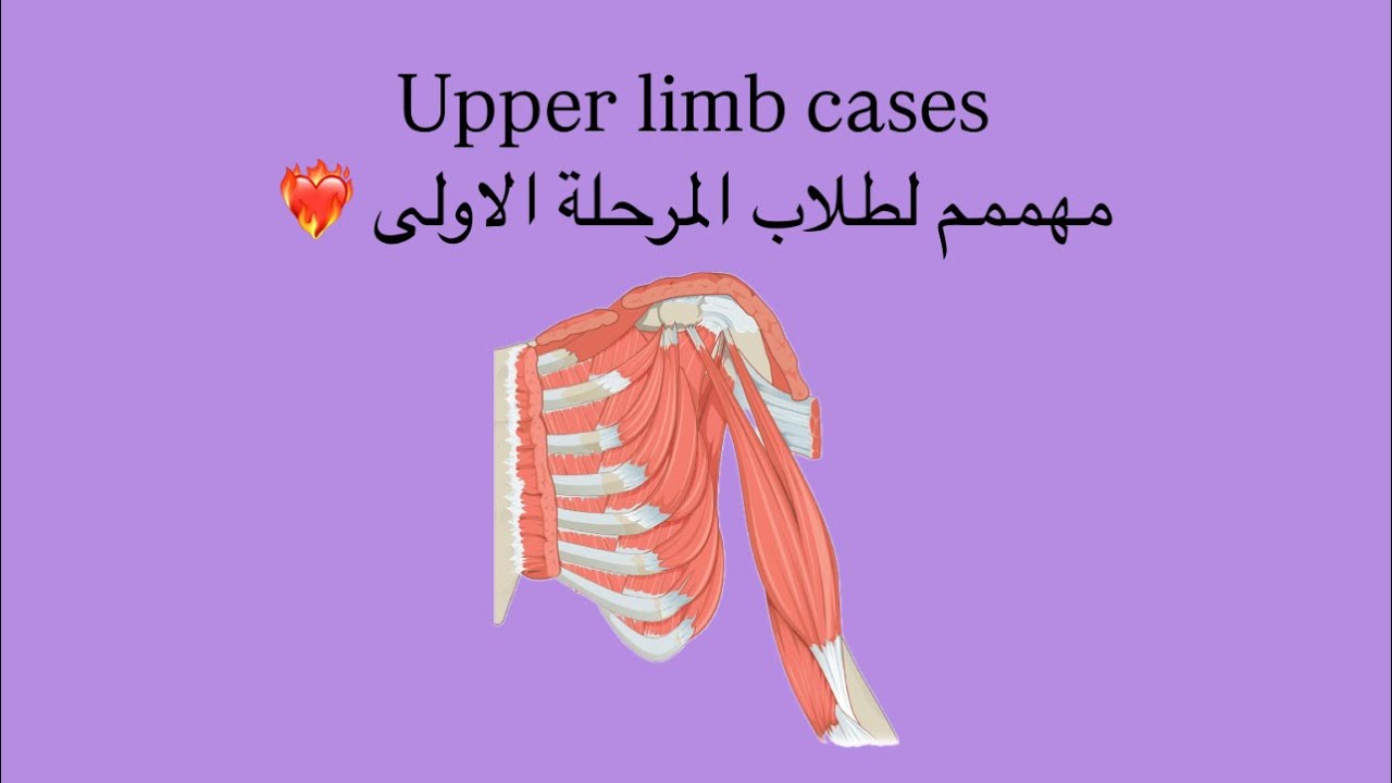 Upper limb anatomy cases part 6 (شرح بالعربي) - YouTube