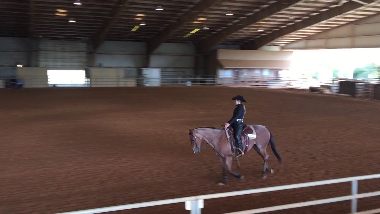 Em IEA Reining - YouTube