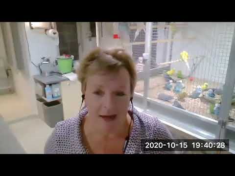 Through the Keyhole - Bev and Laura Hutt - YouTube