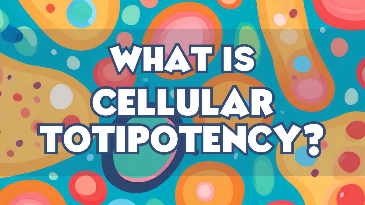 WHAT is CELLULAR TOTIPOTENCY? SCIENCE SAMHITA - YouTube