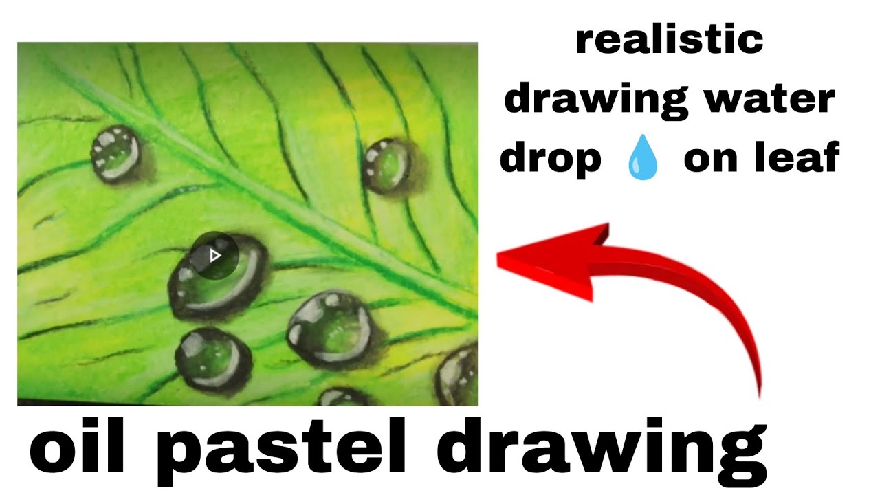 realistic drawing // water drop 💧 on leaf // 2023 // artistmohitgautam ...