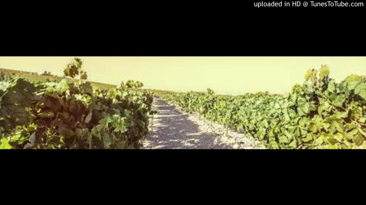 Sherry 101 with Andrew Sinclair - YouTube