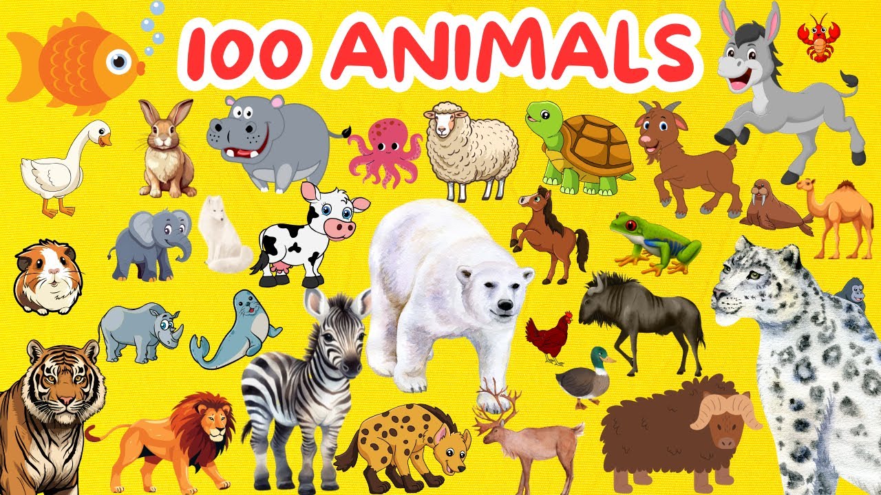 Learn 100 Animals for Kids | Animal Names and Sounds | Educational ...